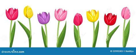 Tulipas de várias cores ilustração do vetor Ilustração de ornato 32995383