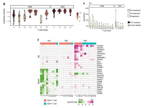 新格元accura Cell中低通量单细胞转录组测序，领航单细胞测序新赛道 知乎