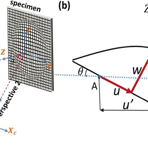 A Light Path And B Schematic Of The Imaging Method Download Scientific Diagram