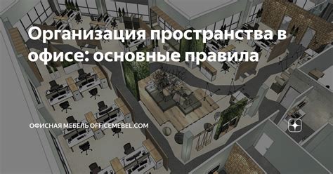 Организация пространства в офисе основные правила Офисная мебель Officemebel Com Дзен