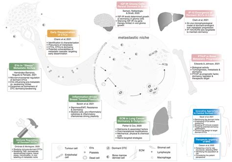 Revisiting The Seed And Soil Hypothesis All The Articles Included In Download Scientific
