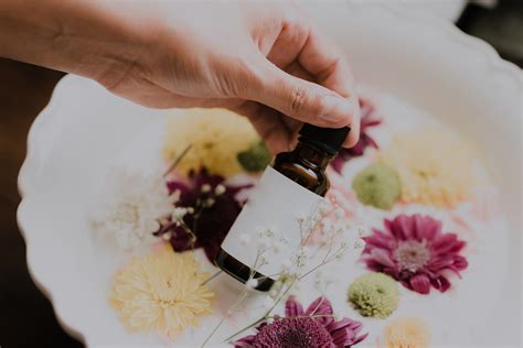 What Are Longevity Essential Oils And Do They Work Butterfly Labs