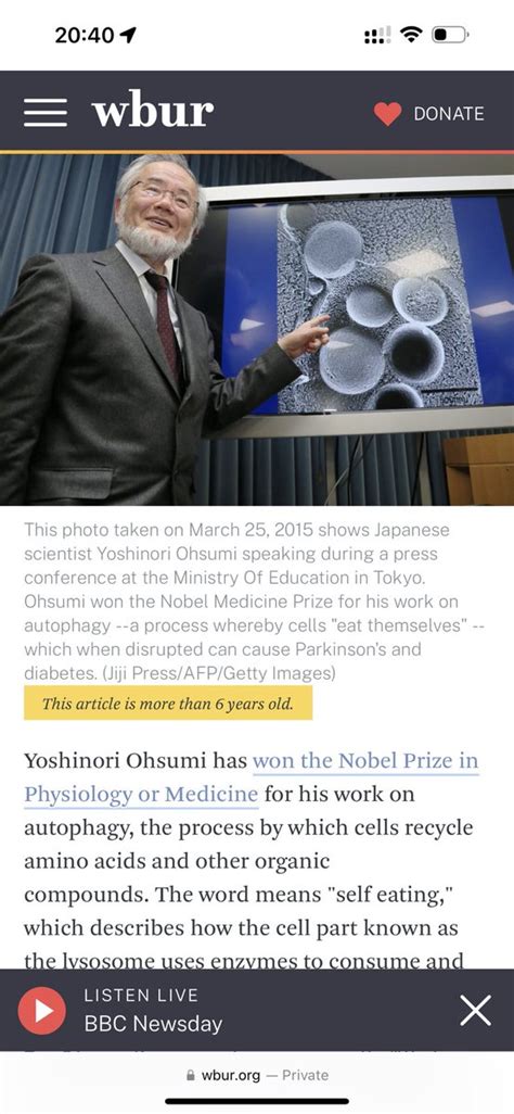 Kizuna 🇲🇳 On Twitter Хүн 12 цаг юм идэхгүй байх үед хүний бие махбод өөрөө өөрийнхөө өөхийг