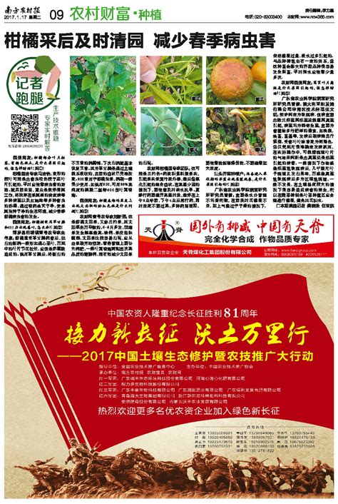 南方农村报新闻广告 2017年01月17日