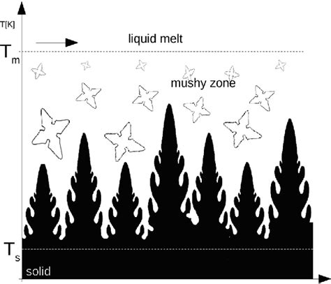 figure 1 from modelling of solidification of binary fluids with non