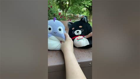 Barbie Squish Youtube