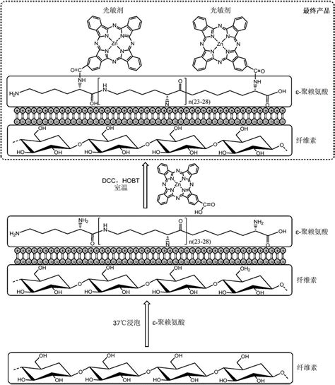 Photodynamic Antibacterial Cellulose Material And Preparation Method Thereof Eureka Patsnap