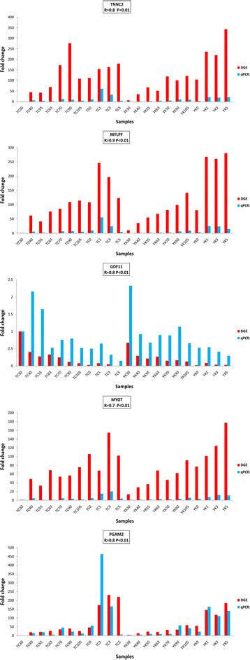 validation of solexa sequencing data with qpcr the vertical axis