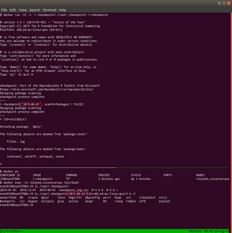 R Docker And Checkpoint A Route To Reproducibility