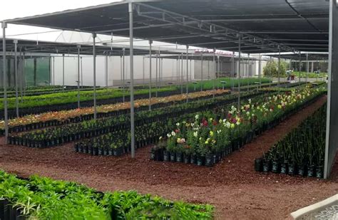 Instalación Y Operación De Viveros Jardineria Y Mantenimiento Hr