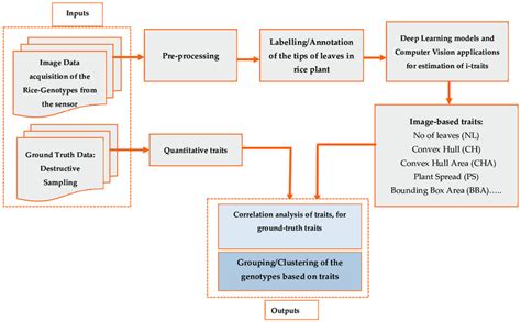 Schematic Workflow Of The Framework For Leaf Counting Image Based