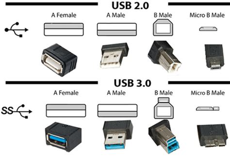 USB 2 0 Vs 3 0 Cables Speed Compatibility Buying Guide Wandkey