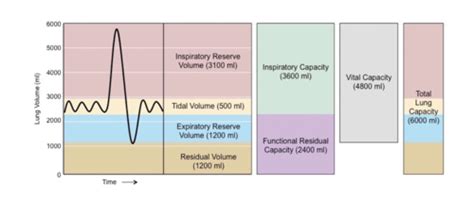 CVP Intervention Techniques Flashcards Quizlet