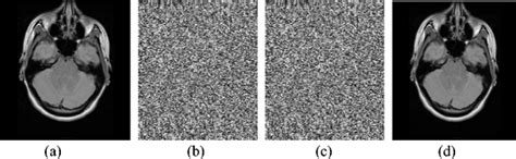 A Input Dicom Image B Combined Image C Encrypted Image D Decrypted