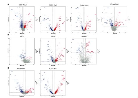 Top 10 Differentially Expressed Genes Degs Of Myeloid Cell
