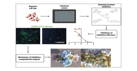 Robert Schwartz On Linkedin Dual Reporter System For Real Time Monitoring Of Sars Cov 2 Main