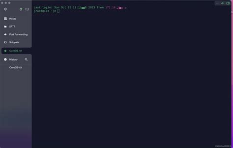 linux：termius连接本地虚拟机与虚拟机快照 termius连接虚拟机 csdn博客