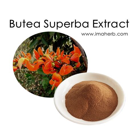 99% purity Butea Superba Extract 4:1 ~ 30:1 powder / Brilliant purple ...