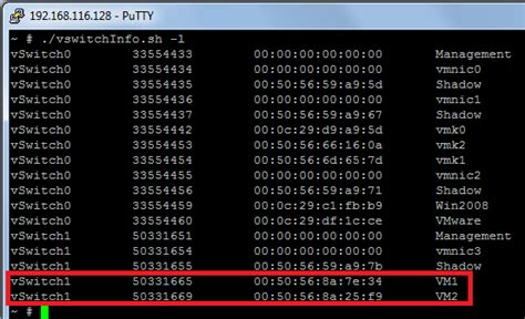 Hostile Coding VMware VLANs And VSwitches