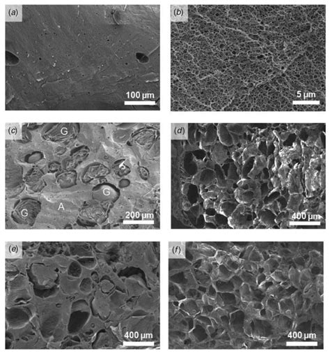 Fabrication Of Three Dimensional Porous Cell Laden Hydrogel For Tissue Engineering Pmc