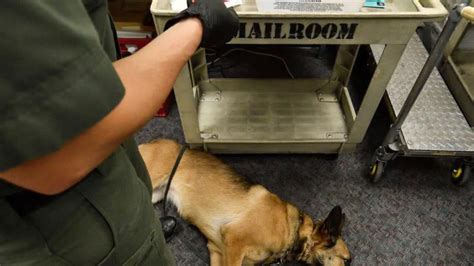 Laura Lutton Pollard On Linkedin Physical Mail Was My Lifeline To The Outside World — And Now