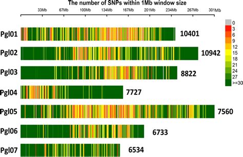 Chromosome Wise Distribution Of 58719 Dart Seq Markers Generated From