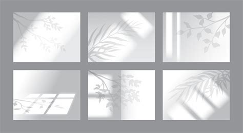 창과 식물 그림자 세트 밝은 잎과 가지 벽 모형 야자수 잎 그늘 유기농 흰색 햇빛 오버레이 효과 여름 회색 식물 햇빛 벡터 기하학적 배경 0명에 대한 스톡 벡터 아트 및