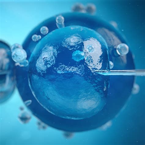 Stem Cell Technology Boosts 3d Printed Cartilage Repair