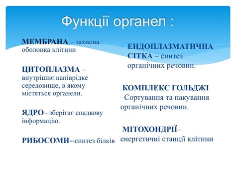 Презентація на тему Будова клітини