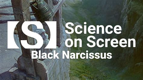 Sex Difference In Brain Function BLACK NARCISSUS YouTube