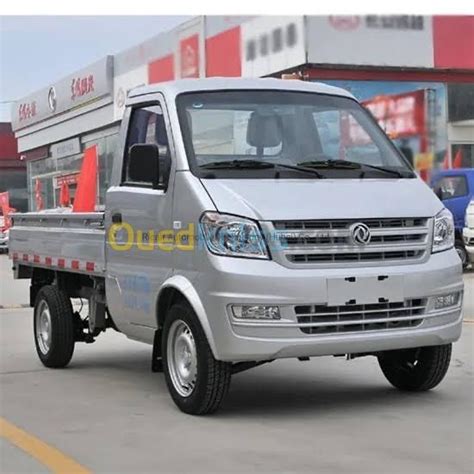 Dfsk Camionette 2024 Alger Algeria