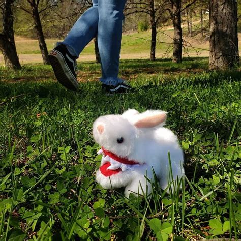 Toy Vault Mini Size Monty Python Rabbit W Big Pointy Teeth Plush Toy Stuffed Evil Bunny From