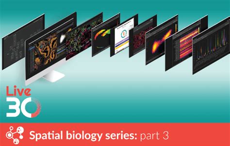Cell Profiling And Biomarker Discovery In A Spatial Context A Guide To