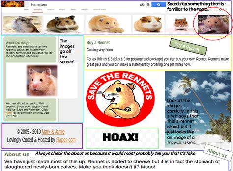 Learning Hub 3 2013 Stonefields Babe