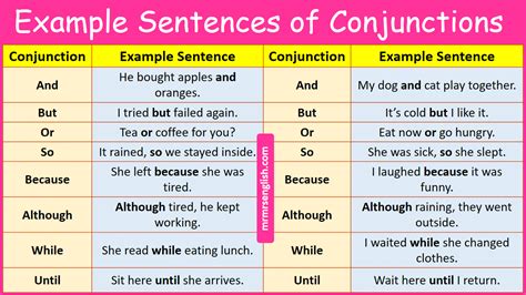 100 Example Sentences Of Conjunctions In English With Pictures Mr Mrs English