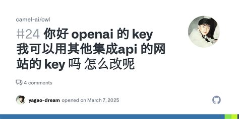 你好 openai 的 key 我可以用其他集成api 的网站的 key 吗 怎么改呢 · issue 24 · camel ai owl