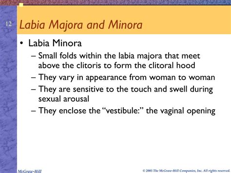 Ppt Female Sexual Anatomy Powerpoint Presentation Free Download Id