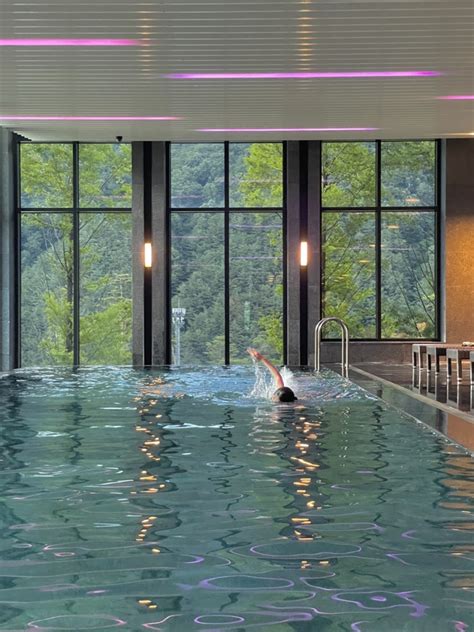 정선 파크로쉬 리조트앤웰니스 숙암 킹 수영장 로쉬카페 네이버 블로그