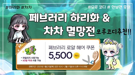 메이플스토리 페브러리 헤어쿠폰 하리화헤어 차차얼굴 멸망전 하리화and 차차 코디 추천 모루 코디 추천