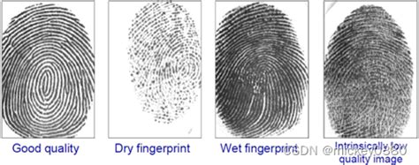 指纹采集技术 Csdn博客