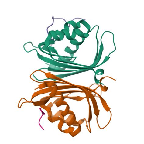 Gene Q14694 Protein Usp10 Cell Line Evidence Cansarai