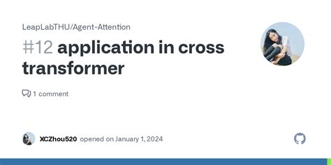 Application In Cross Transformer Issue LeapLabTHU Agent Attention GitHub