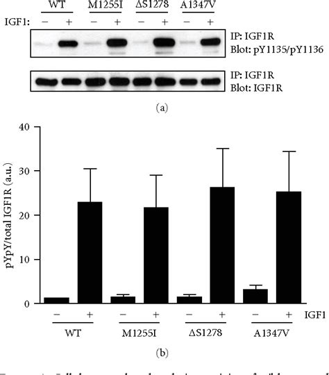 Figure 1 From Effects Of Somatic Mutations In The C Terminus Of Insulin Like Growth Factor 1