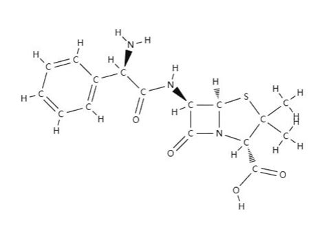 Ampicillin Vs Augmentin