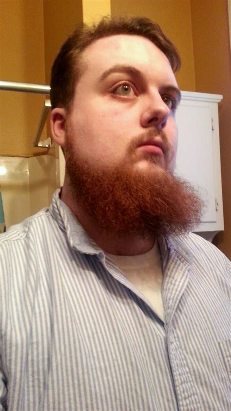 I Cant Wait To Be Able To Braid This Beard So I Can Be A Dwarf For The Hobbit In December Imgur
