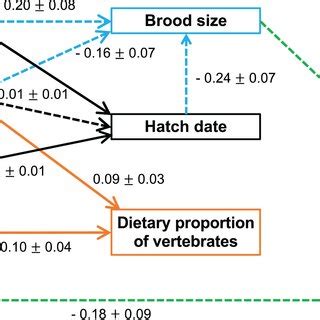 The Complete Bayesian Structural Equation Model Showing The Direct And Download Scientific