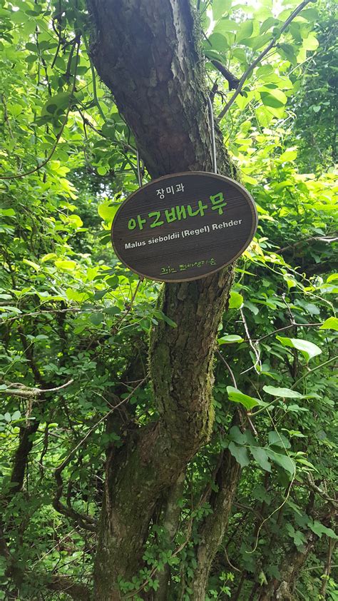 숲모루 숲길