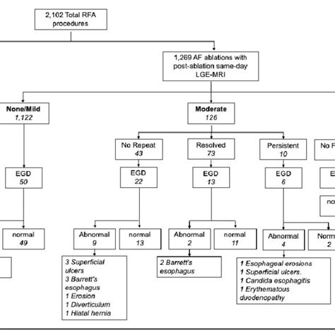 Af Ablation Procedures Flowchart Based On Lge Mri Findings Af Download Scientific Diagram