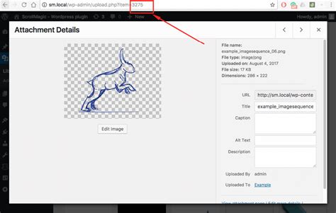 scroll magic animation builder wordpress plugin by docodev codecanyon