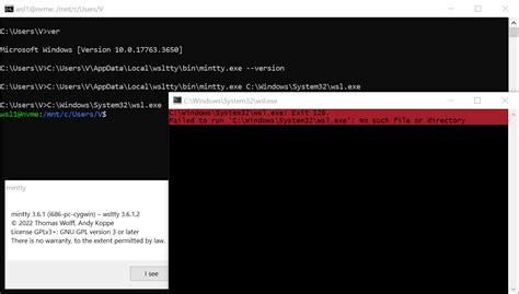 WSL Terminal Just Flashes Issue Mintty Wsltty GitHub
